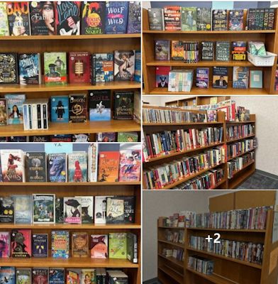 Friends of the Decatur Public Library